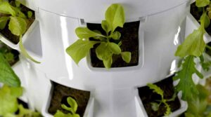 Garden grab • Gardening tips in one place